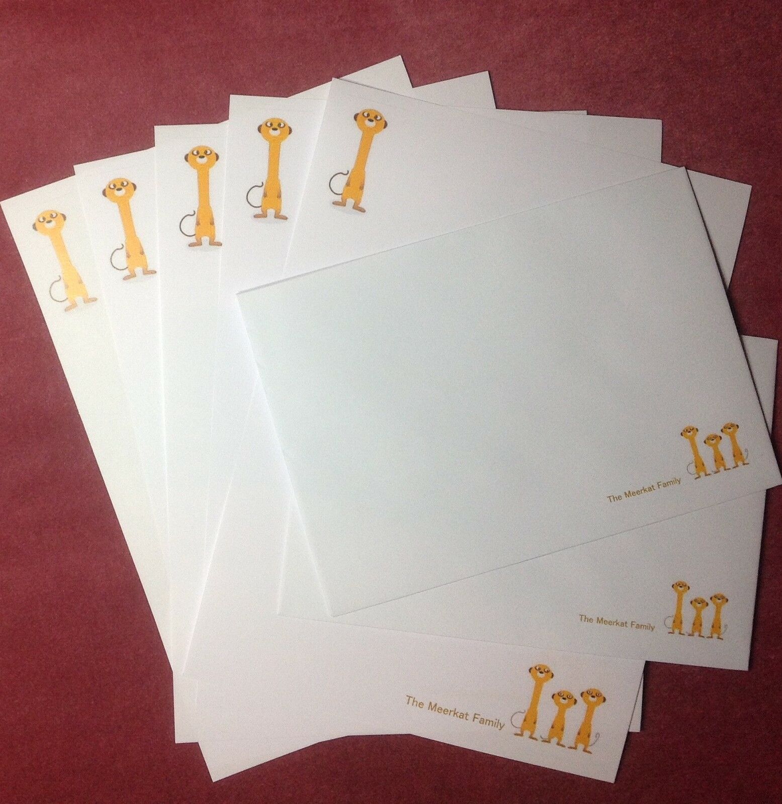 The Meerkat Family - Beautiful Writing Sets