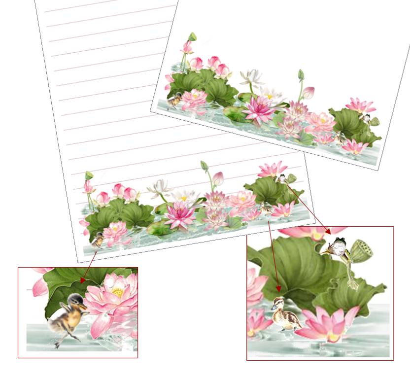 Lily Pond - Beautiful Writing Sets