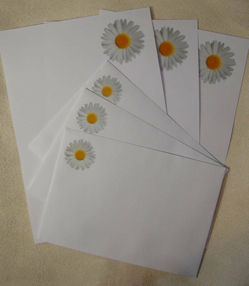 White Daisy Flower - Beautiful Writing Sets