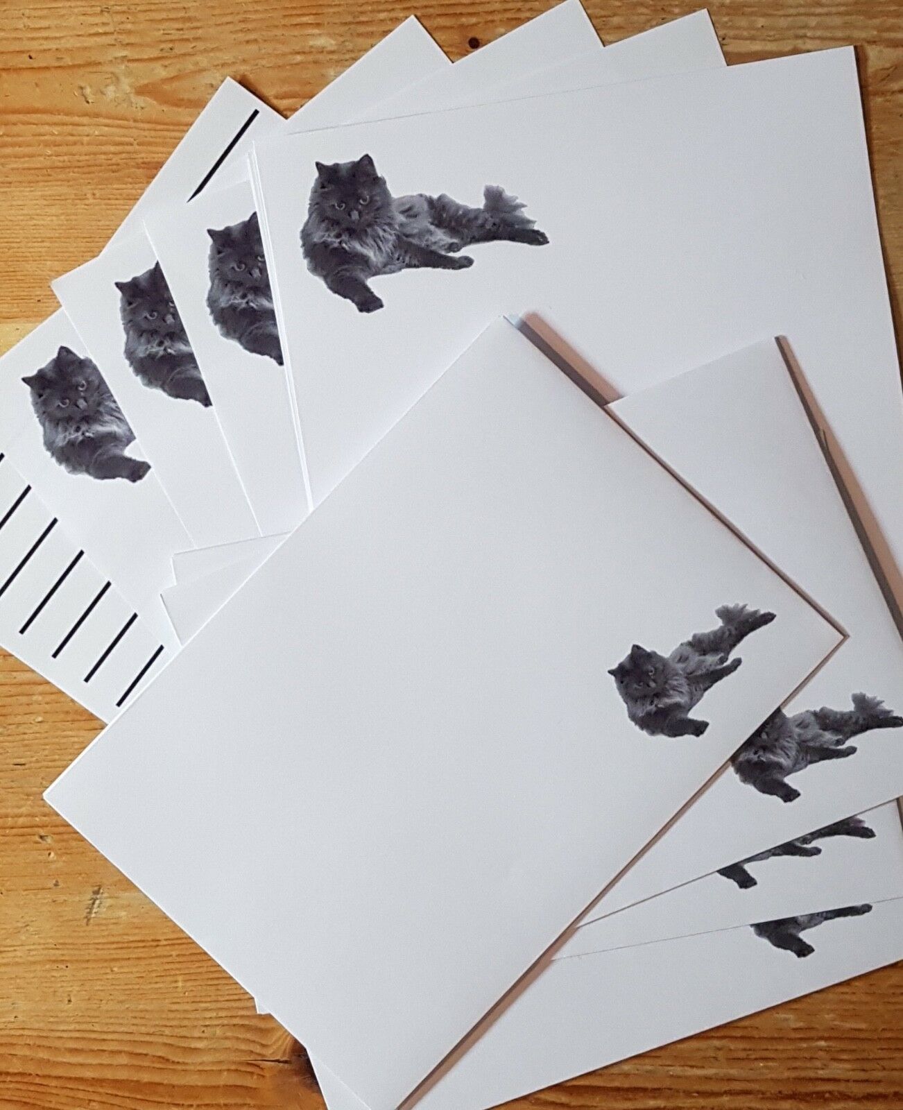 Beautiful Grey Prince Cat - Beautiful Writing Sets