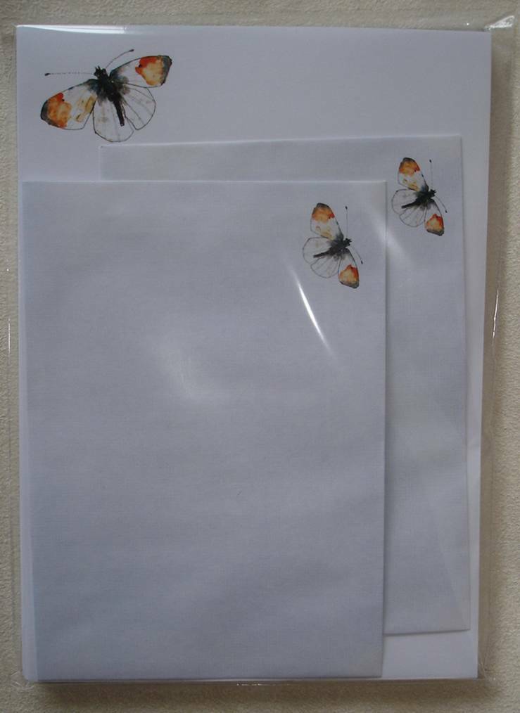 Chinese Butterfly - Beautiful Writing Sets