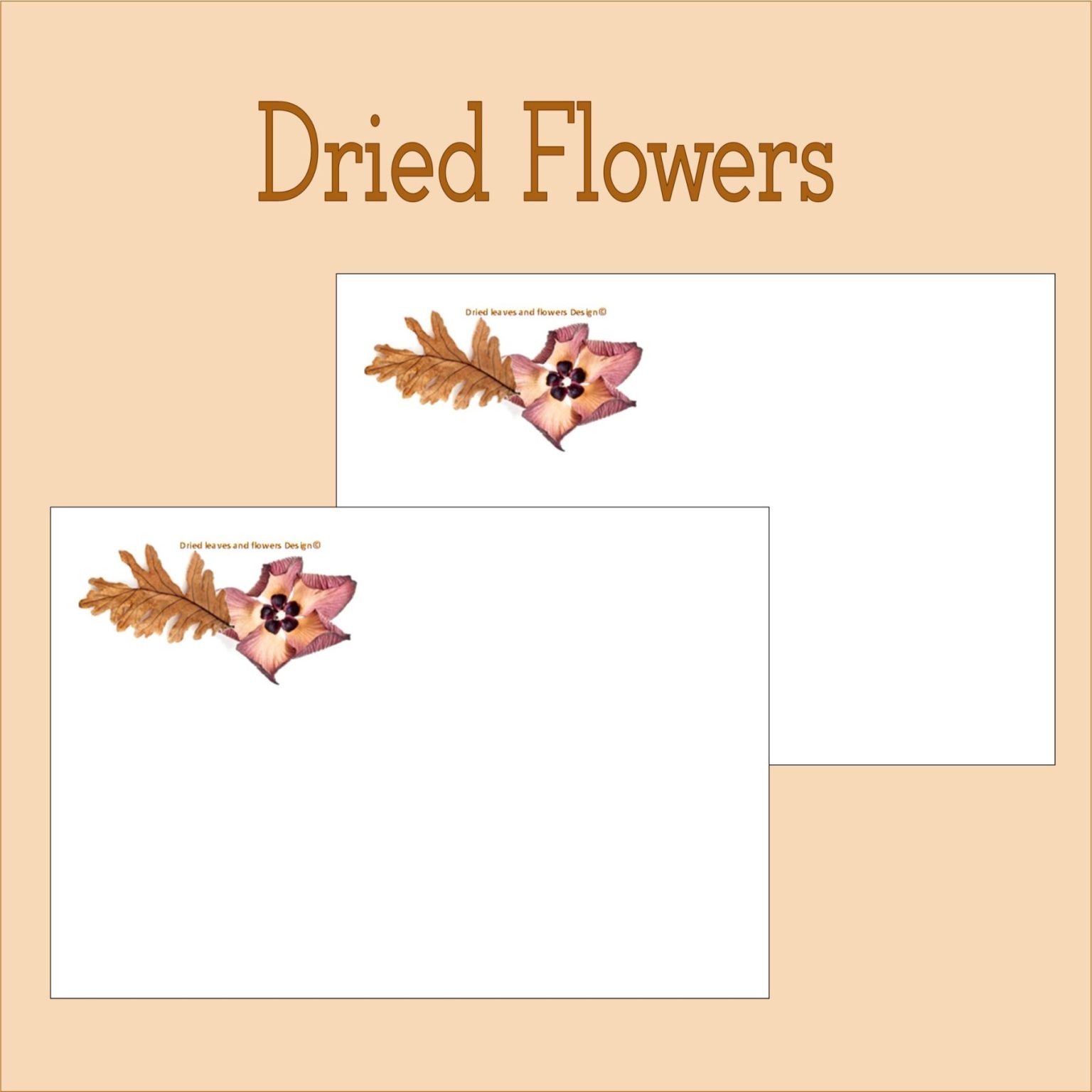 "Dried Flowers" - Beautiful Writing Sets