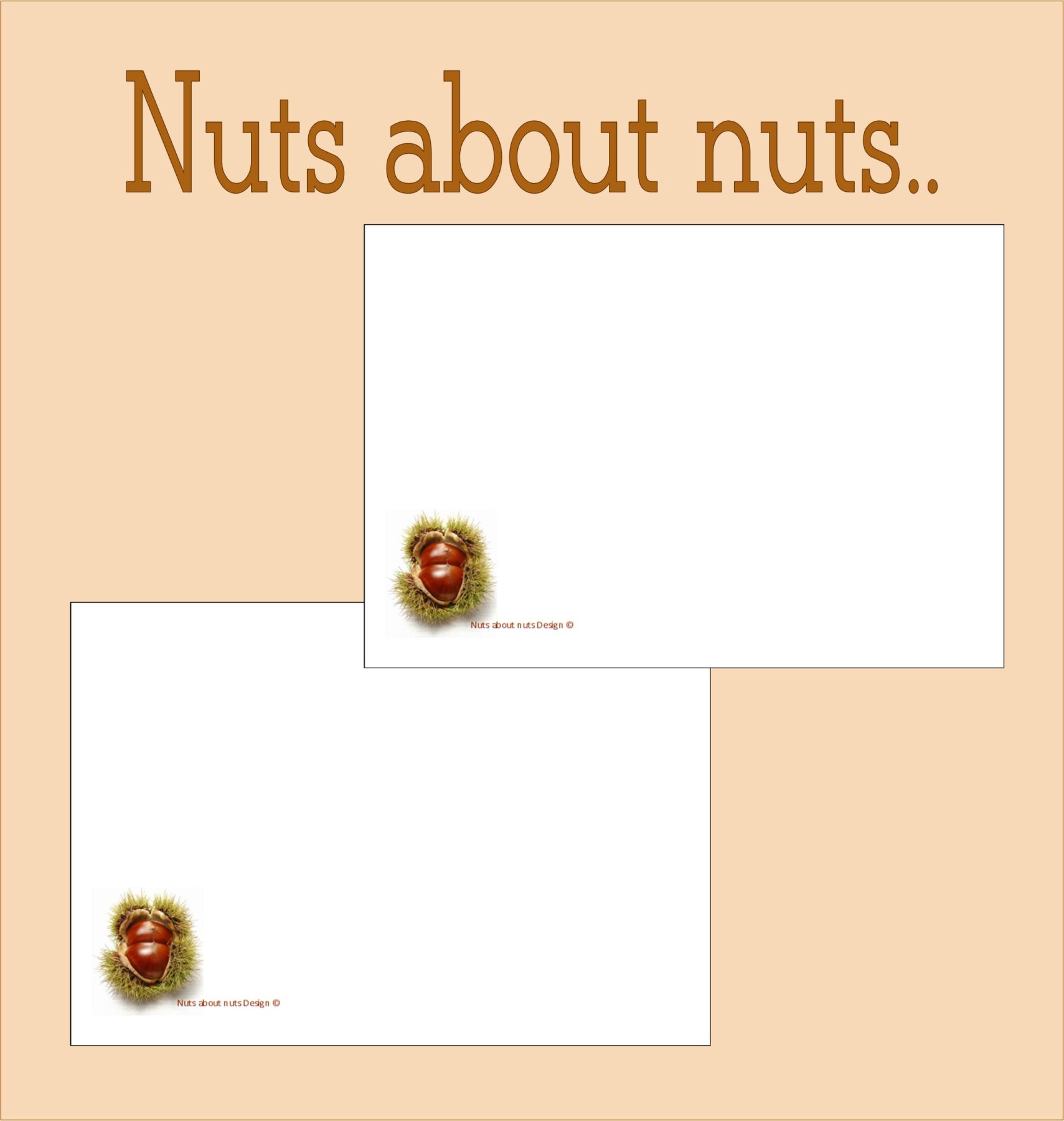 "Nuts about nuts" - Beautiful Writing Sets