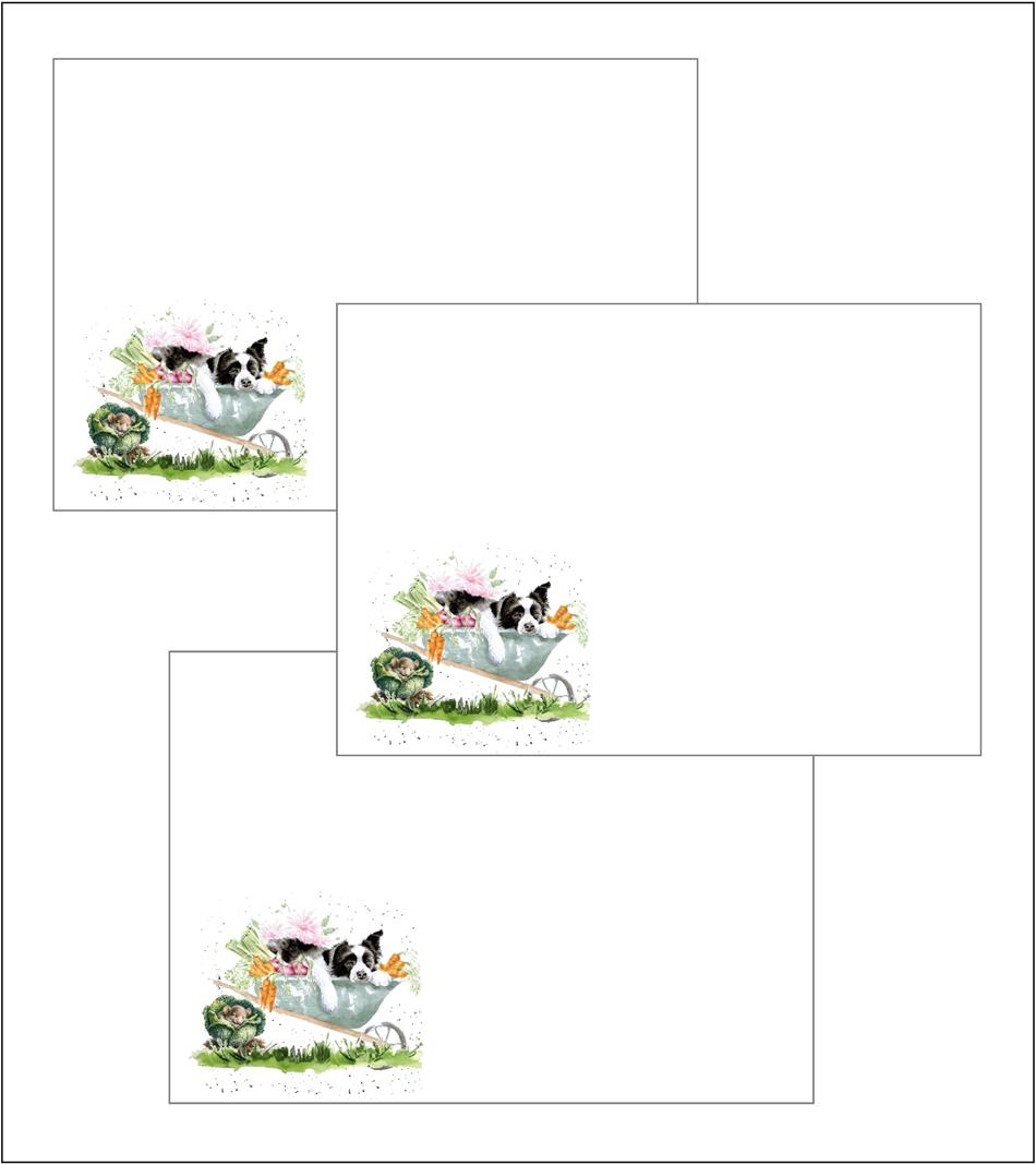 "Chilling & Relaxing Farm" - Beautiful Writing Sets